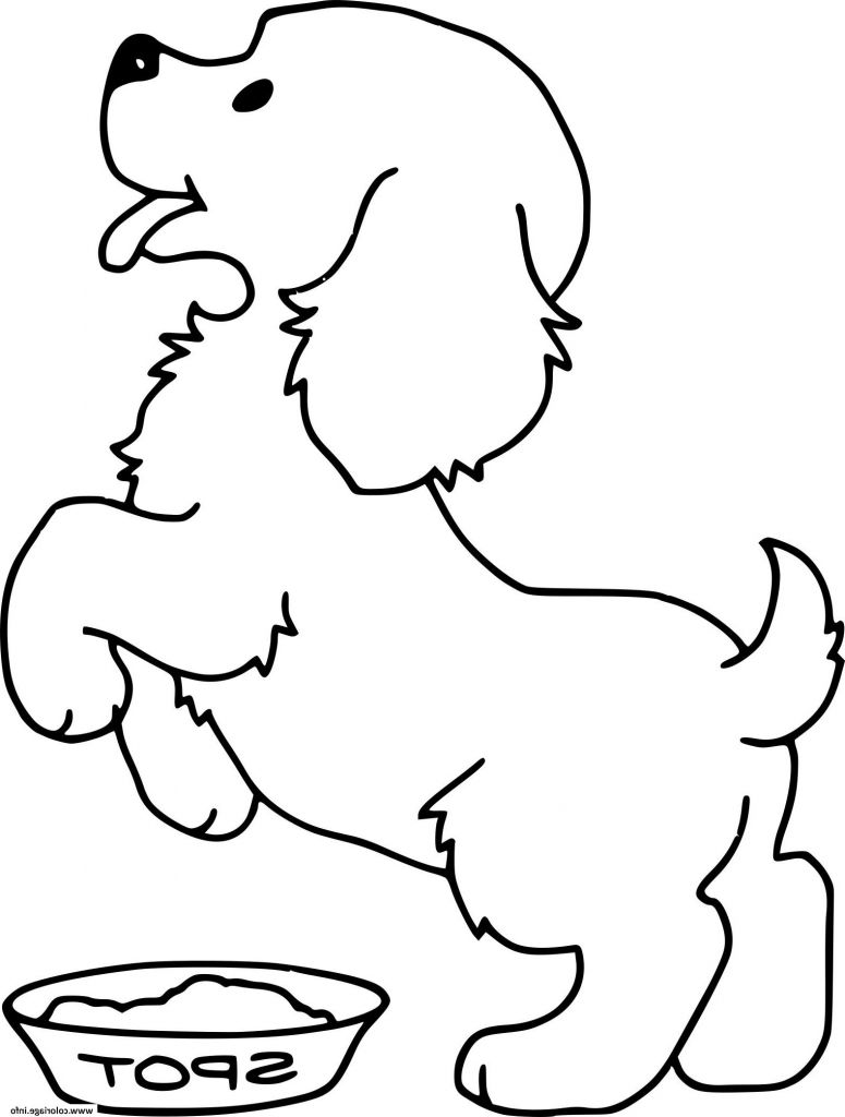 Dessin A Colorier Chien Cool Image Coloriage Chien Bebe Adorable Jecolorie Coloriage