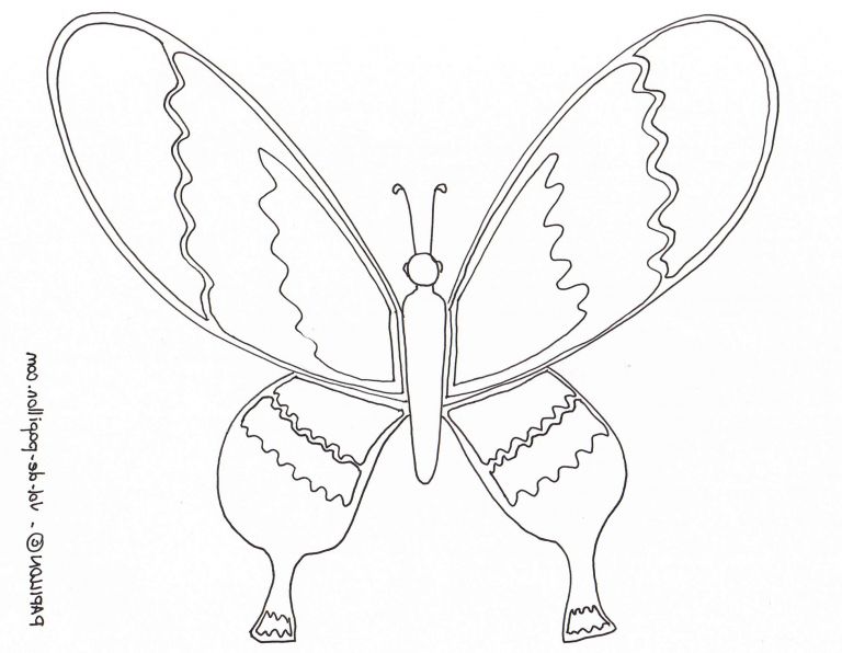 14 Inspirant De Dessin à Imprimer Papillon Galerie - Coloriage : Coloriage 14 Inspirant De Dessin à Imprimer Papillon Galerie - Coloriage : Coloriage