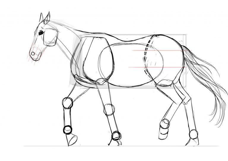 Dessin De Cheval Facile à Faire Beau Photos Ment Dessiner Un Cheval ... Dessin De Cheval Facile à Faire Beau Photos Ment Dessiner Un Cheval ...