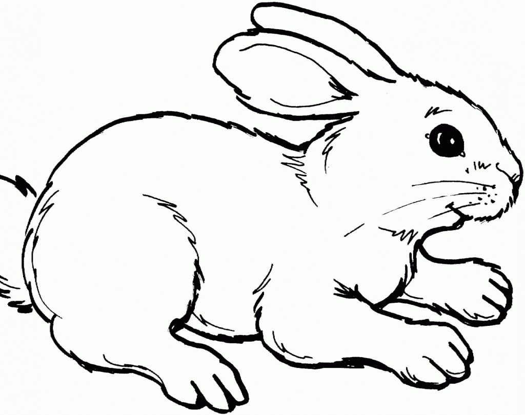 Tete De Lapin Dessin Impressionnant Image Tete De Lapin Facile A ... Tete De Lapin Dessin Impressionnant Image Tete De Lapin Facile A ...