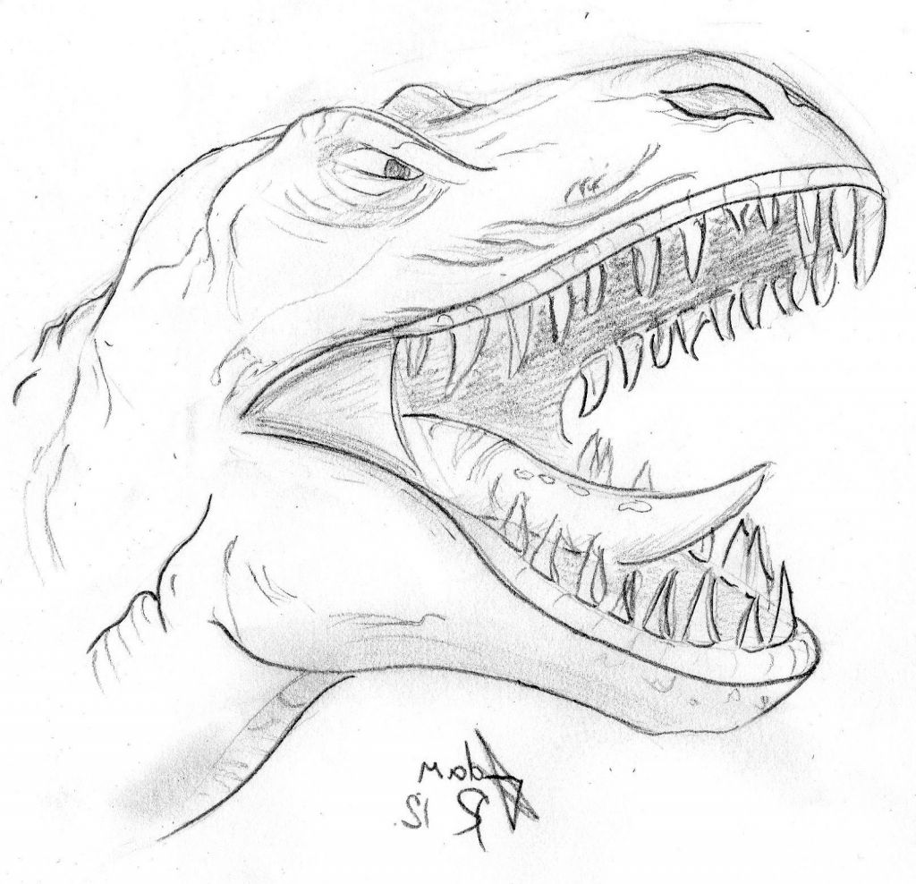 Tyrex Dessin Nouveau Galerie Élégant Coloriage Gratuit De Dinosaure A ... Tyrex Dessin Nouveau Galerie Élégant Coloriage Gratuit De Dinosaure A ...