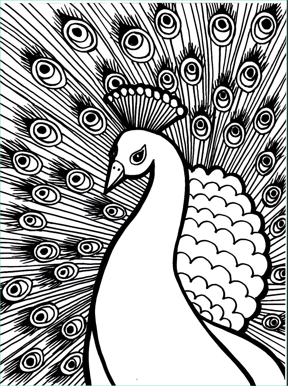 Coloriage Paon Impressionnant Galerie Paon Magnifique Paons Coloriages 
