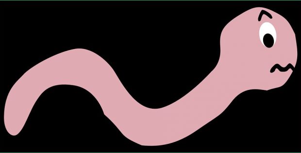 Vers De Terre Dessin Nouveau Galerie Image Vectorielle Gratuite Ver De ... Vers De Terre Dessin Nouveau Galerie Image Vectorielle Gratuite Ver De ...